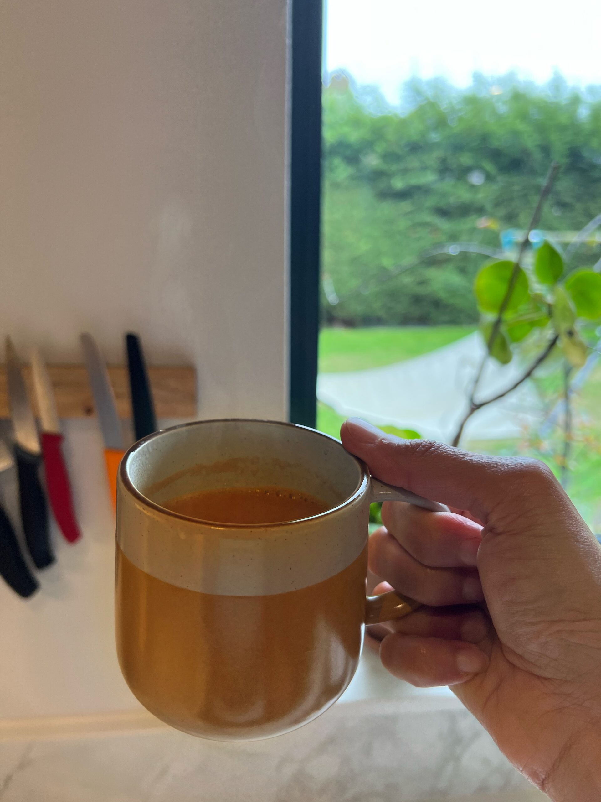 Homemade Masala Chai – Chetna Makan